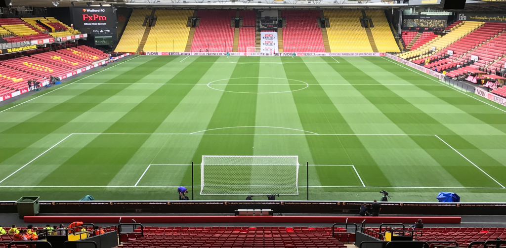 Companion® Maxx Liquid Biological Fungicide | DPH Biologicals